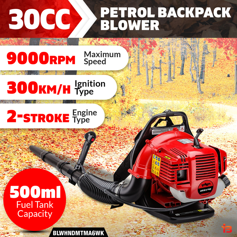MTM 30CC Backpack Blower for Sale | 2 Stock Leaf Blower