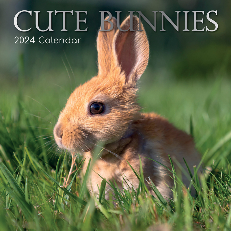 Cute Bunnies - 2024 Square Wall Calendar Pets Animals 16 Months Premium ...